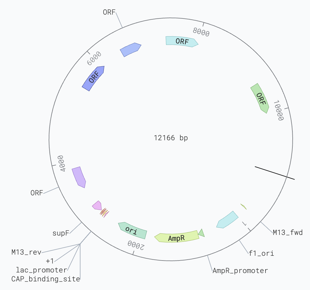 PLab Sequencing